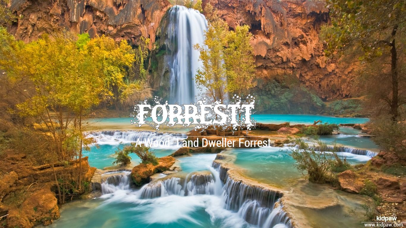 Forrestt 3D Name Wallpaper for Mobile, Write Name on Photo Online