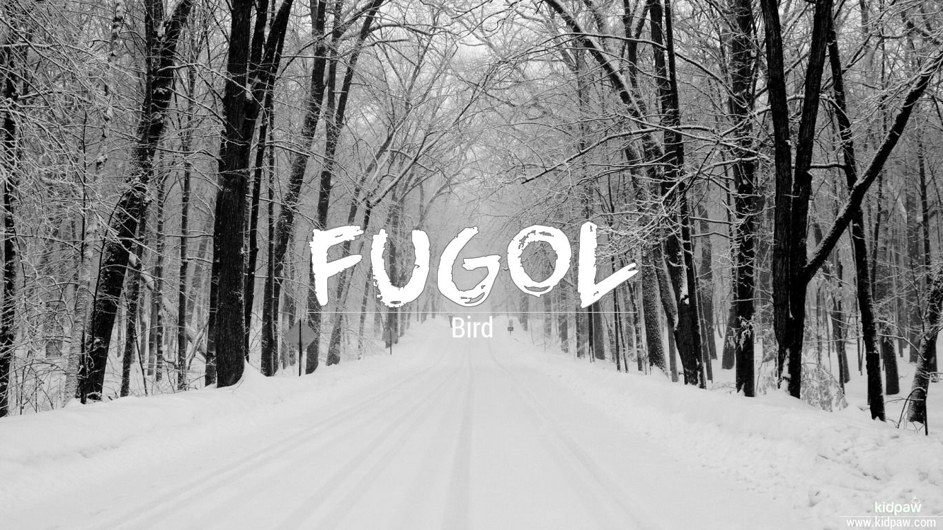 Fugol 3D Name Wallpaper for Mobile, Write Name on Photo Online