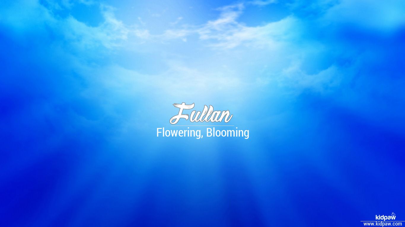 Fullan 3D Name Wallpaper for Mobile, Write फुल्लन Name on Photo Online