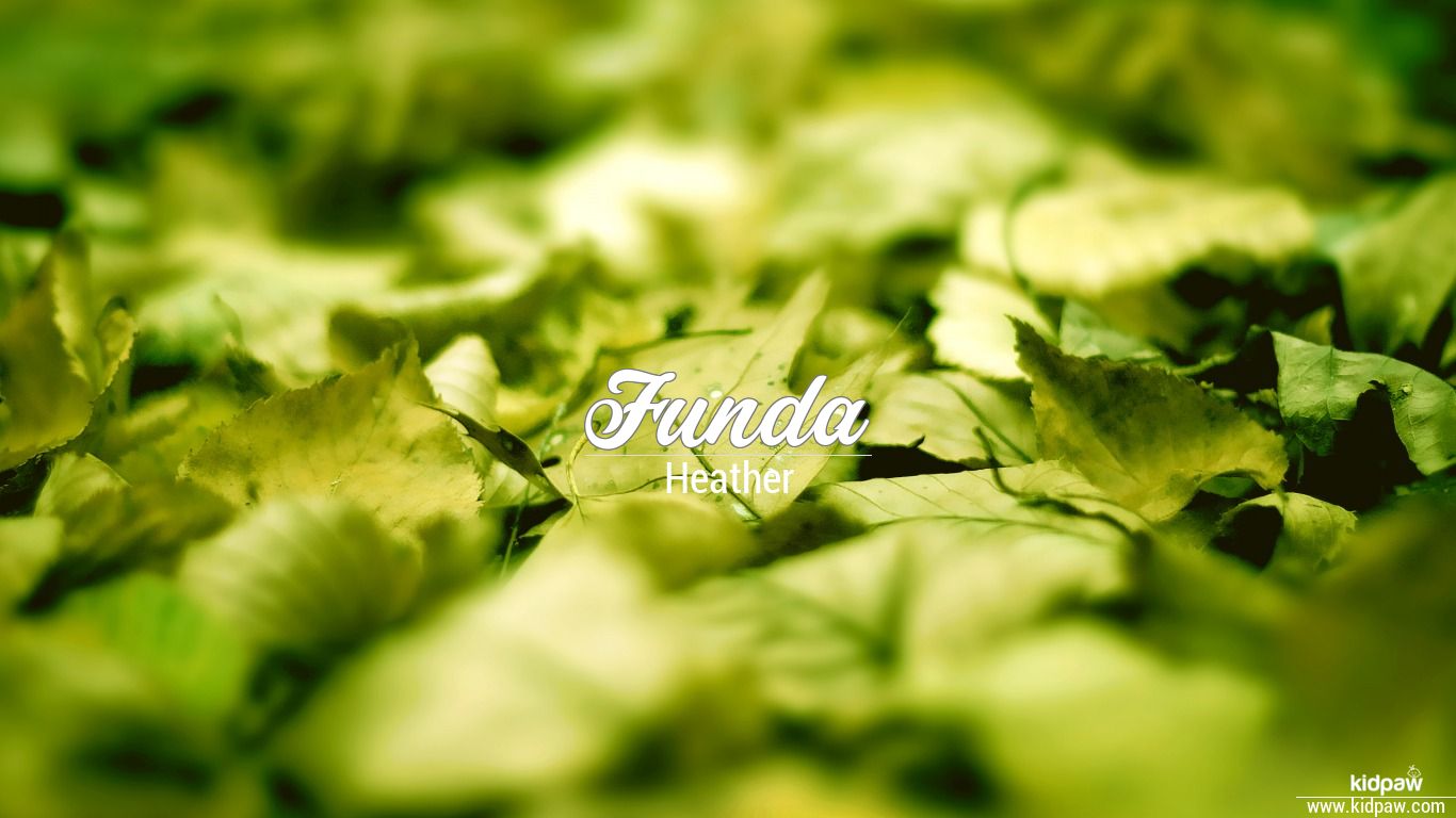 Funda 3D Name Wallpaper for Mobile, Write Name on Photo Online