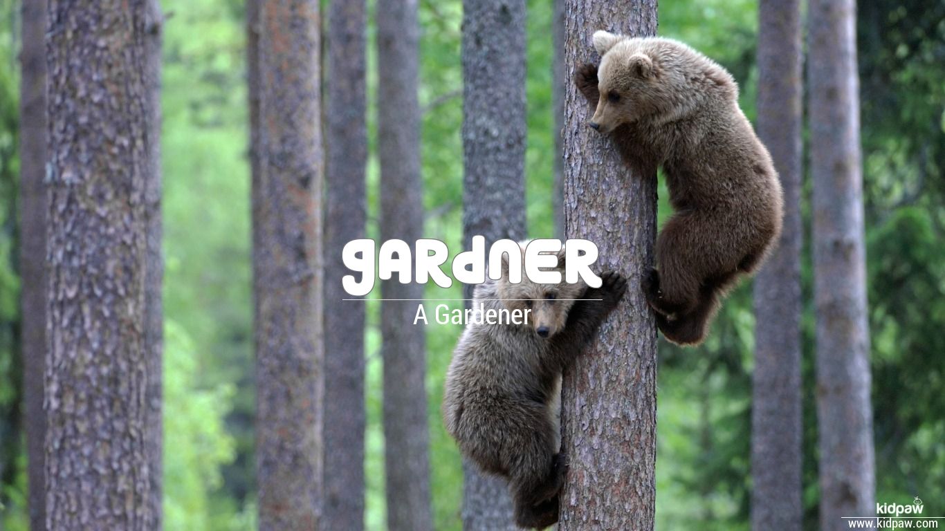 Gardner 3D Name Wallpaper for Mobile, Write Name on Photo Online