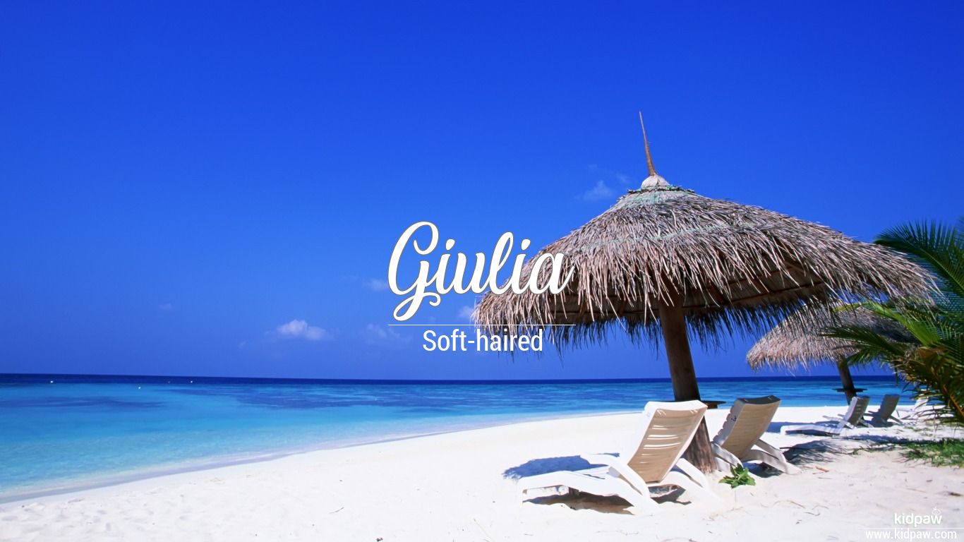 Giulia 3D Name Wallpaper for Mobile, Write Name on Photo Online