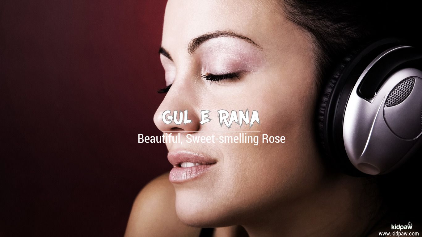 Gul e rana Name Meaning in Urdu گل ا رانا نام کی تفصیل، لکی نمبر