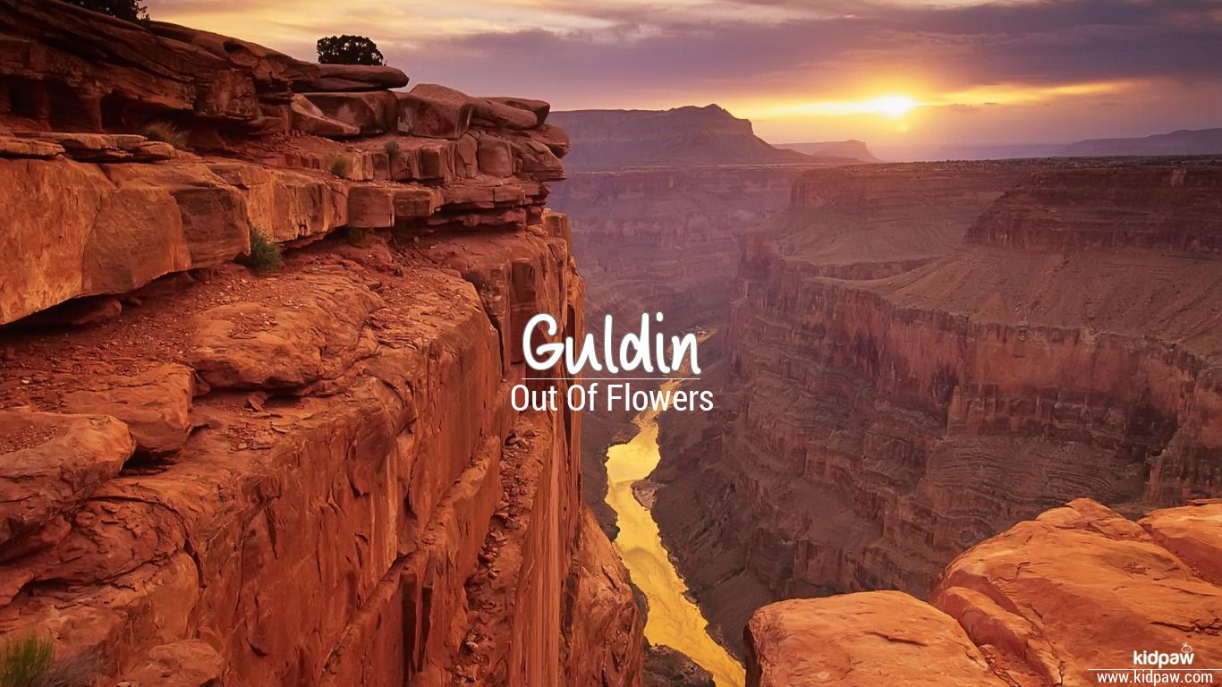 Guldin Name Meaning in English & Urdu, Origin, Luck Number