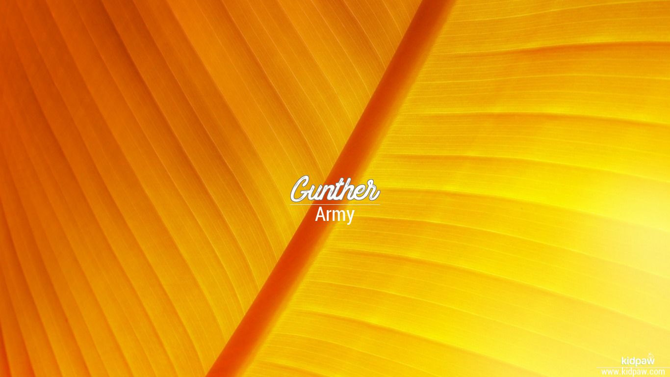 Gunther 3D Name Wallpaper for Mobile, Write Name on Photo Online