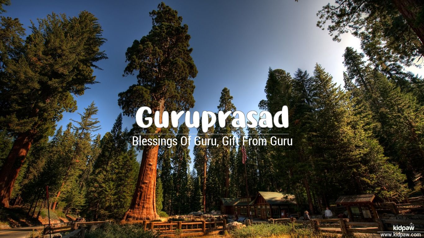 गुरुप्रसाद | Guruprasad Name Meaning in Hindi & English, Rashi ...