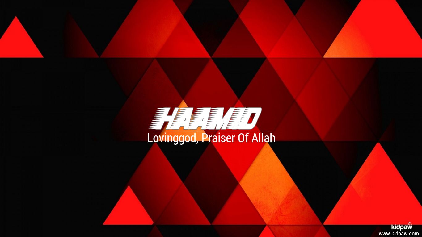 Haamid Name Meaning in English & Urdu, Origin, Luck Number