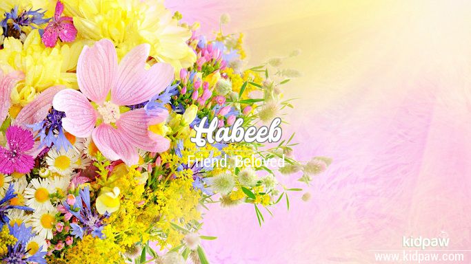 Habeeb Name Meaning in English & Urdu, Origin, Luck Number