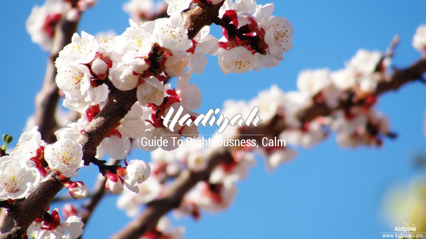 Hadiyah 3D Name Wallpaper for Mobile, Write ہدیہ Name on Photo Online