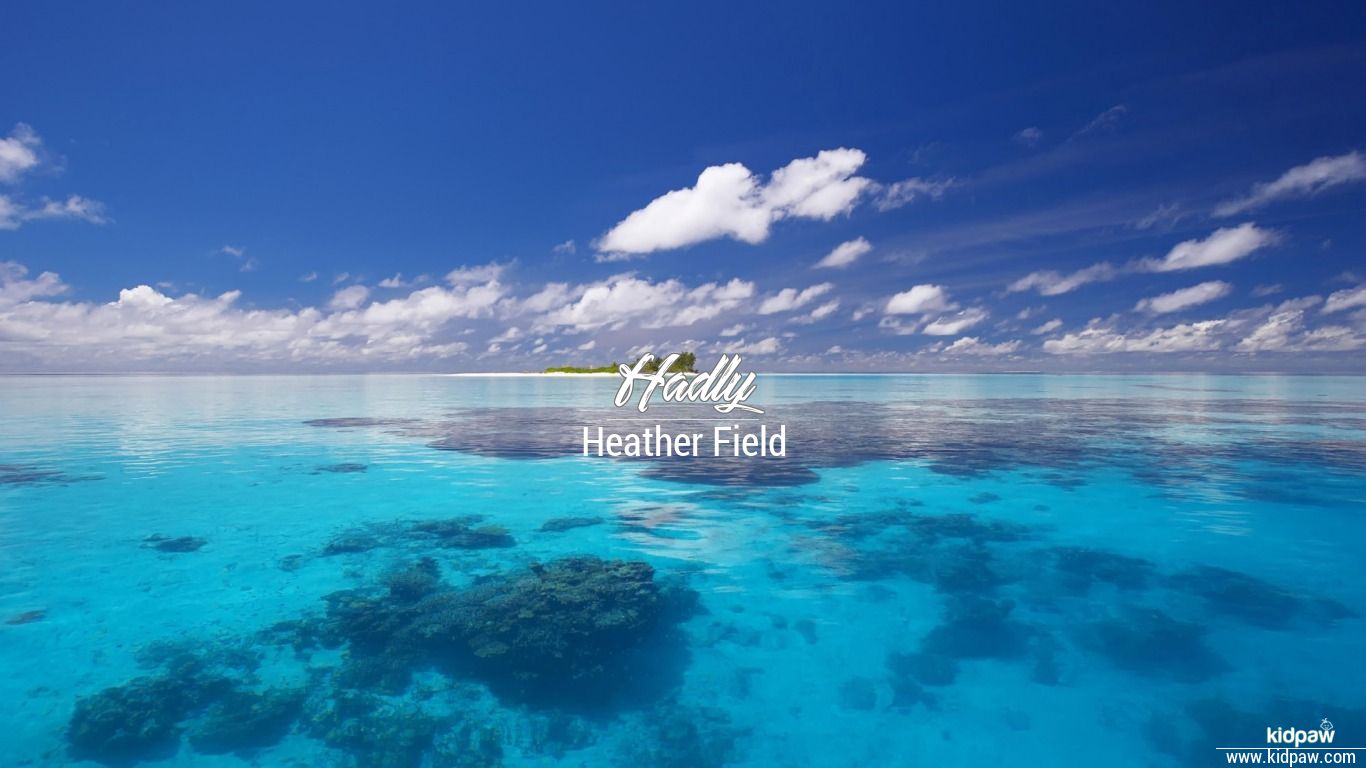 Hadly 3D Name Wallpaper for Mobile, Write Name on Photo Online