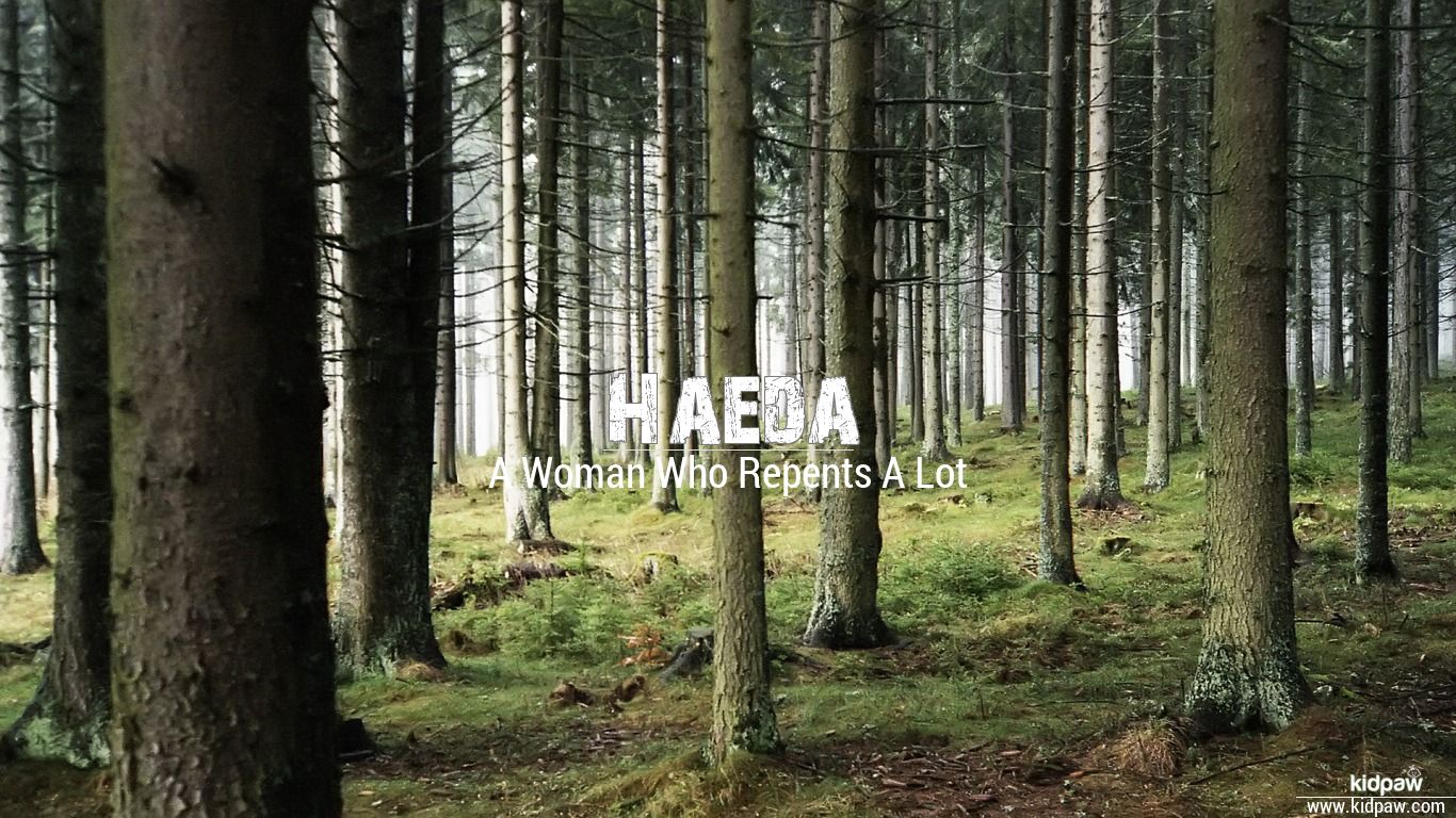 Haeda Name Meaning in English & Urdu, Origin, Luck Number