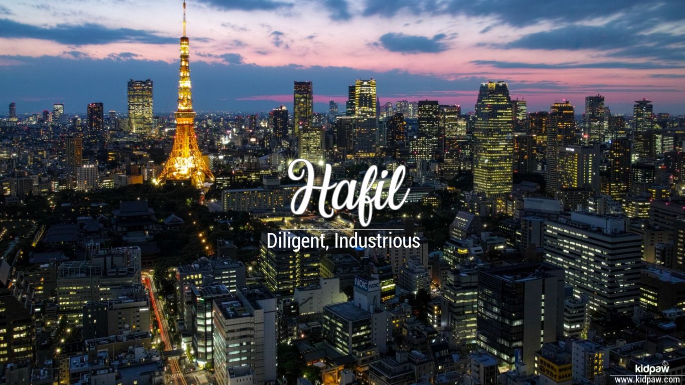 Hafil Name Meaning in English & Urdu, Origin, Luck Number