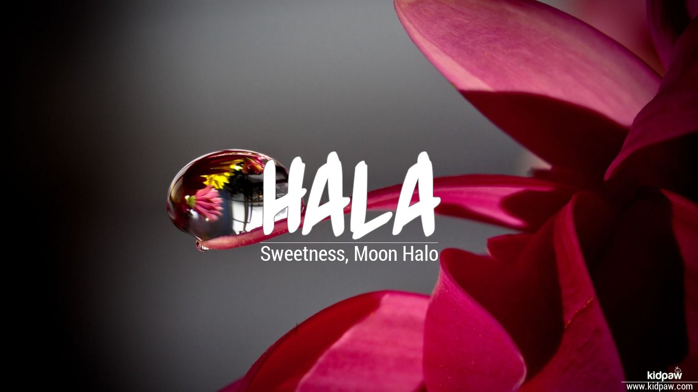 Hala 3D Name Wallpaper for Mobile, Write ہلا Name on Photo Online