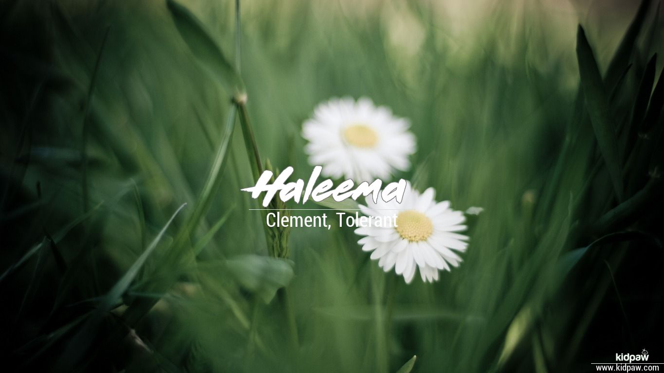 Haleema Name Meaning in English & Urdu, Origin, Luck Number