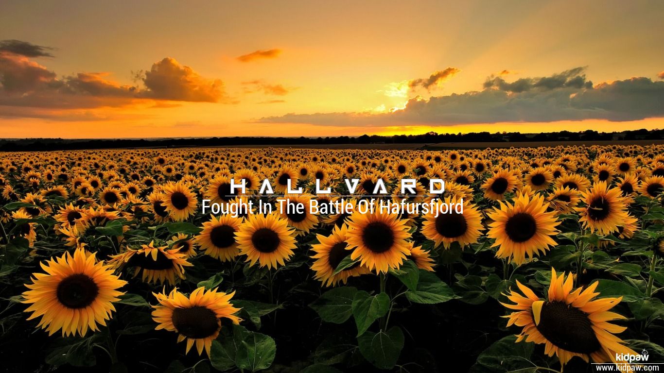Hallvard 3D Name Wallpaper for Mobile, Write Name on Photo Online