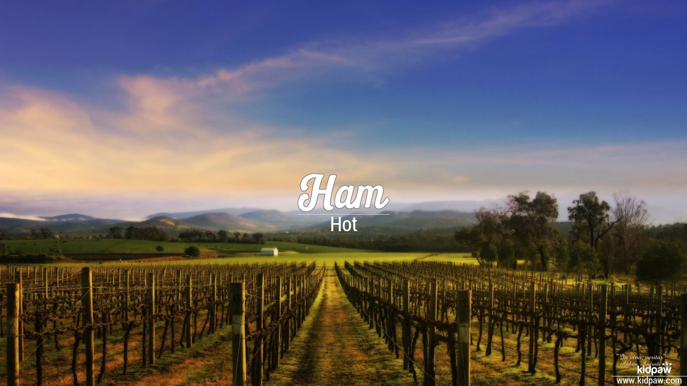 Ham 3D Name Wallpaper for Mobile, Write Name on Photo Online