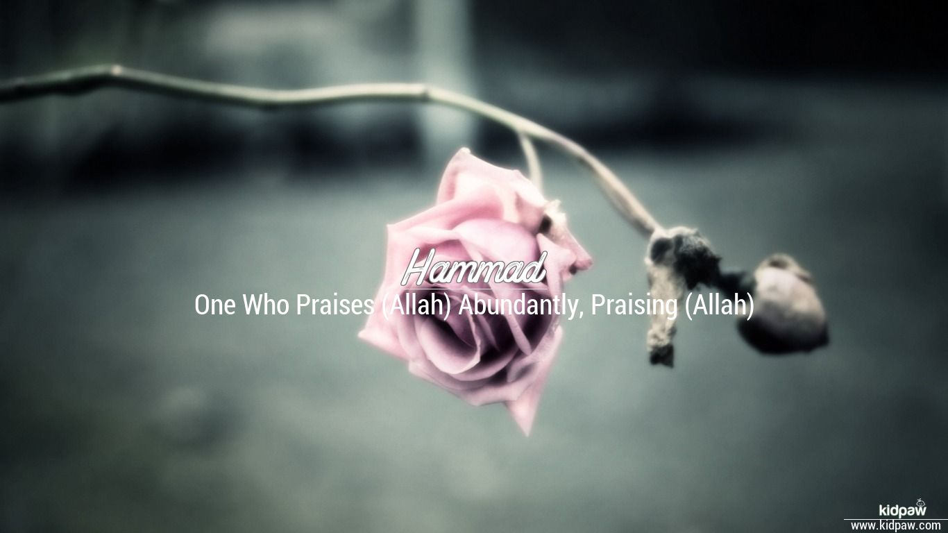 Hammad Name Meaning in Urdu حمّد نام کی تفصیل، لکی نمبر