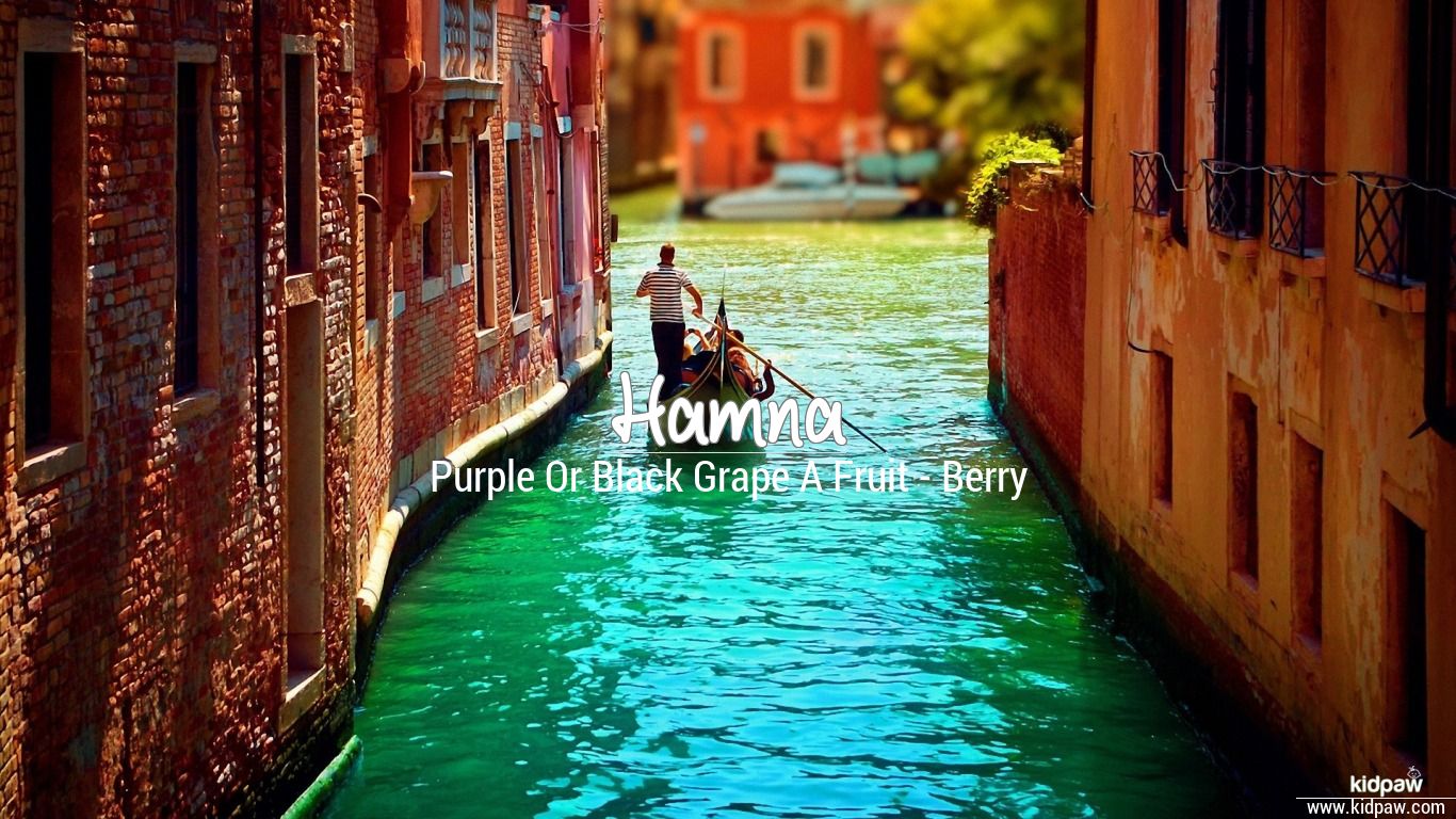 Hamna Name Meaning in English & Urdu, Origin, Luck Number