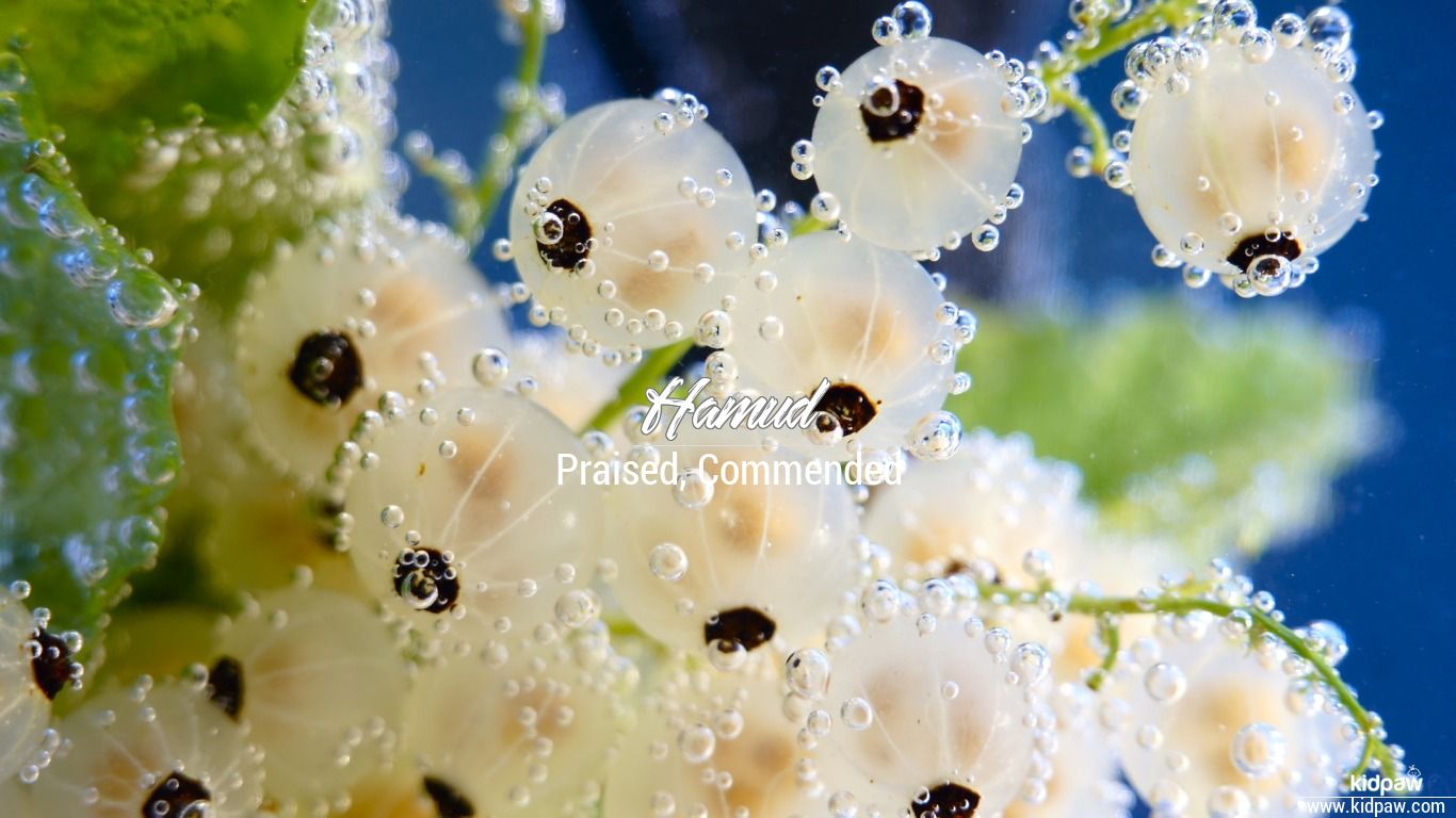 Hamud 3D Name Wallpaper for Mobile, Write حمد Name on Photo Online