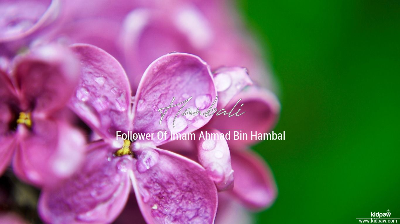 Hanbali 3D Name Wallpaper for Mobile, Write حنبلی Name on Photo Online