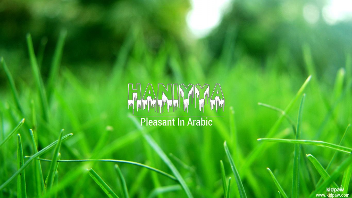 Haniyya 3D Name Wallpaper for Mobile, Write هنية Name on Photo Online