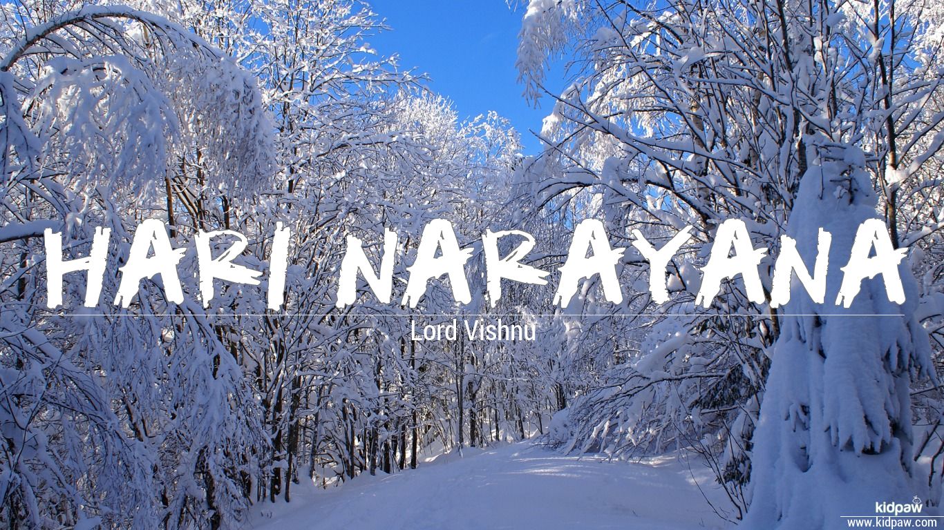 हरी नारायण | Hari Narayana Name Meaning in Hindi & English, Rashi ...