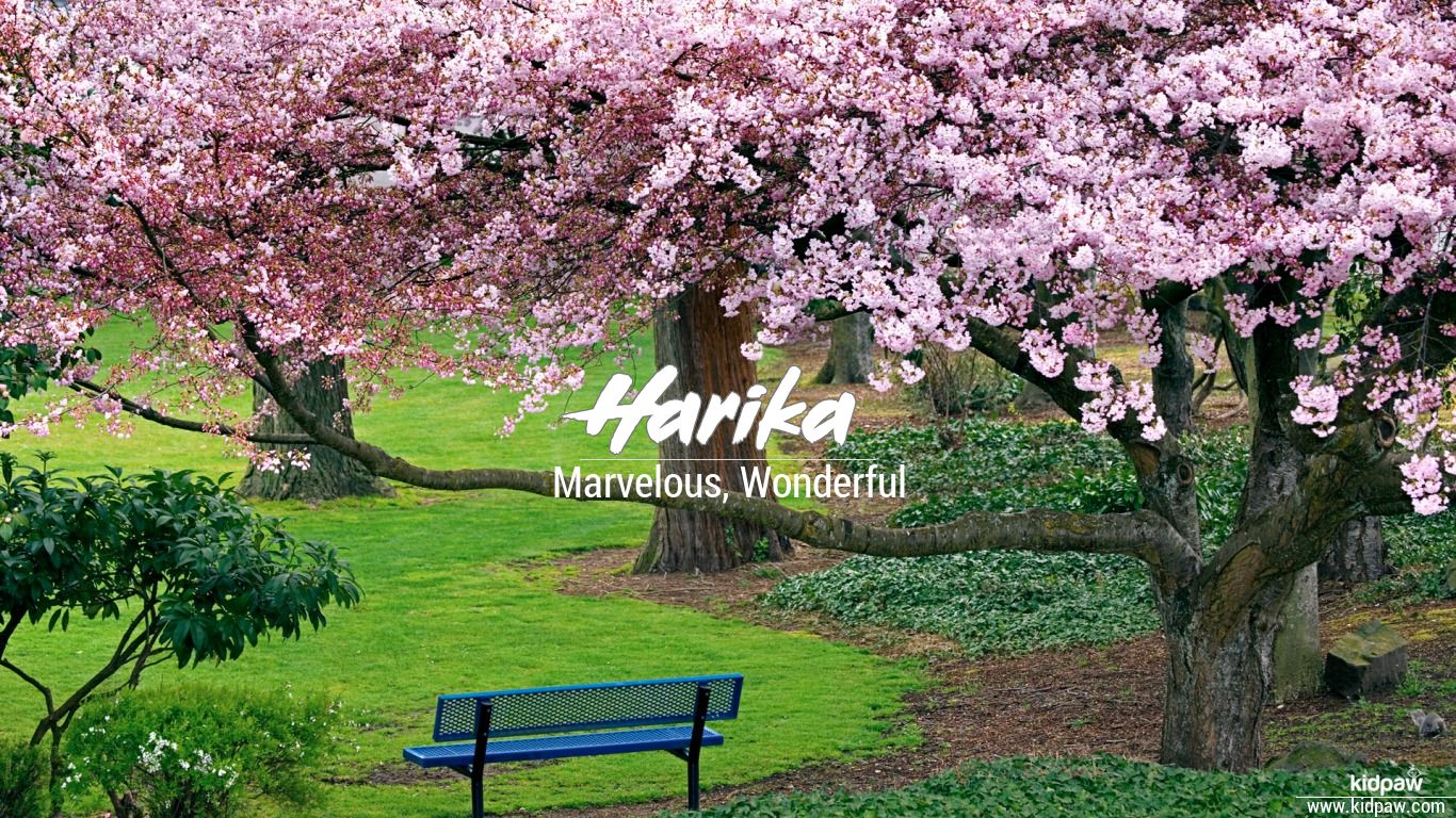 Harika 3D Name Wallpaper for Mobile, Write حرکا Name on Photo Online