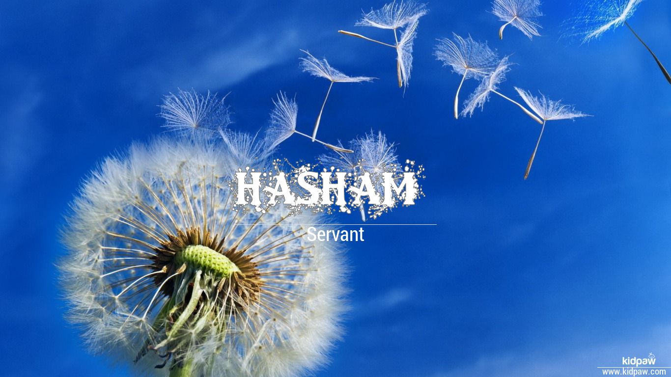 Hasham 3D Name Wallpaper for Mobile, Write حشم Name on Photo Online