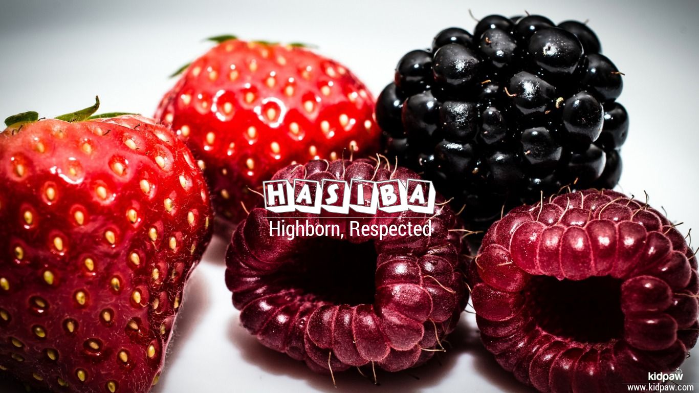 Hasiba Name Meaning in English & Urdu, Origin, Luck Number