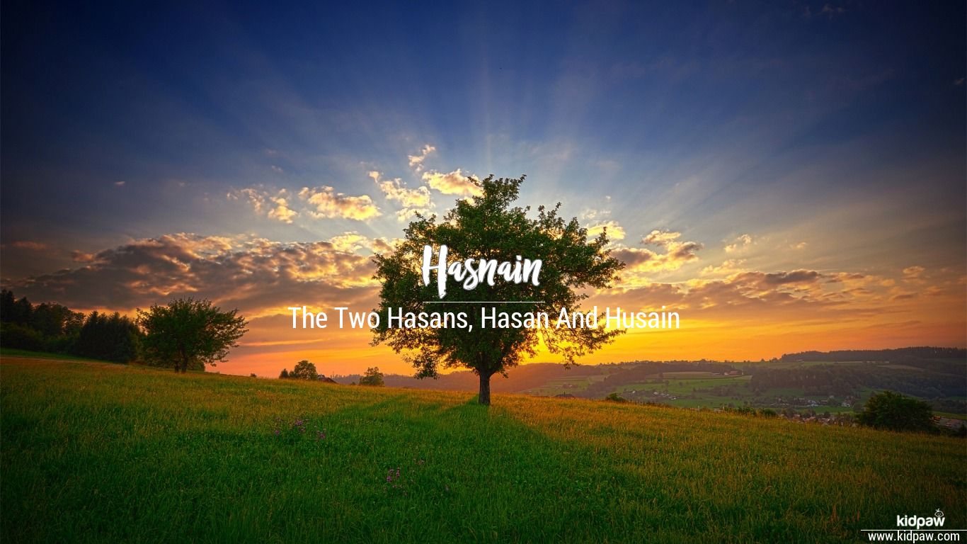 Hasnain 3D Name Wallpaper for Mobile, Write حسنین Name on Photo Online