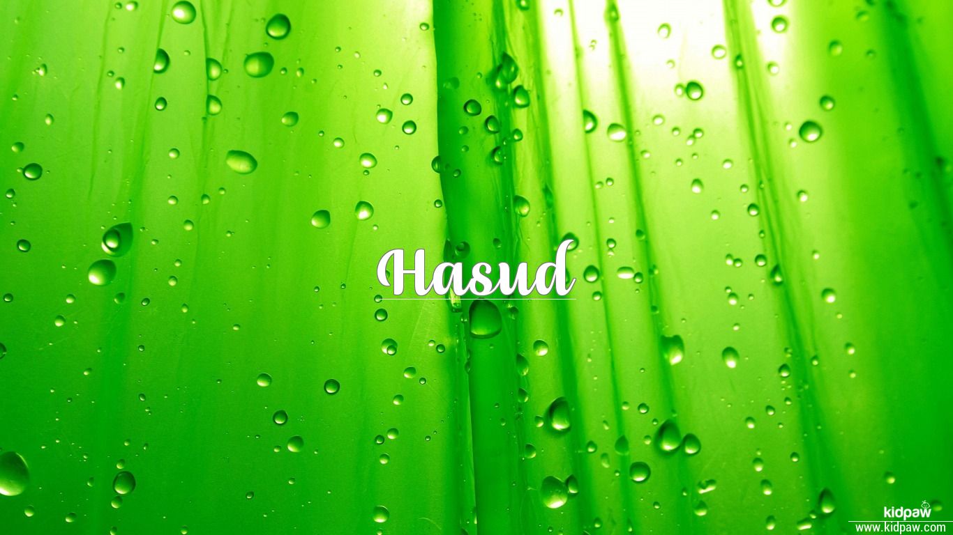 Hasud 3D Name Wallpaper for Mobile, Write Name on Photo Online