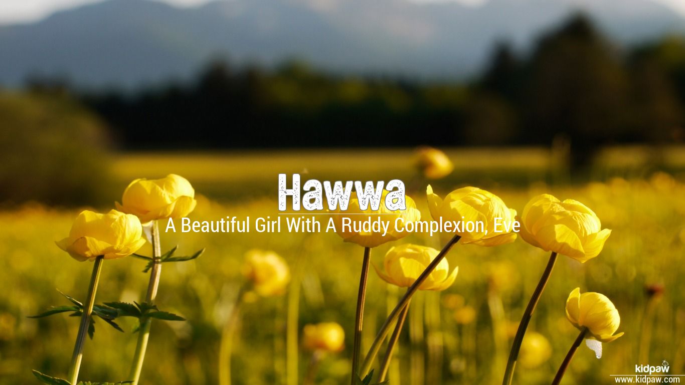 Hawwa Name Meaning in English & Urdu, Origin, Luck Number