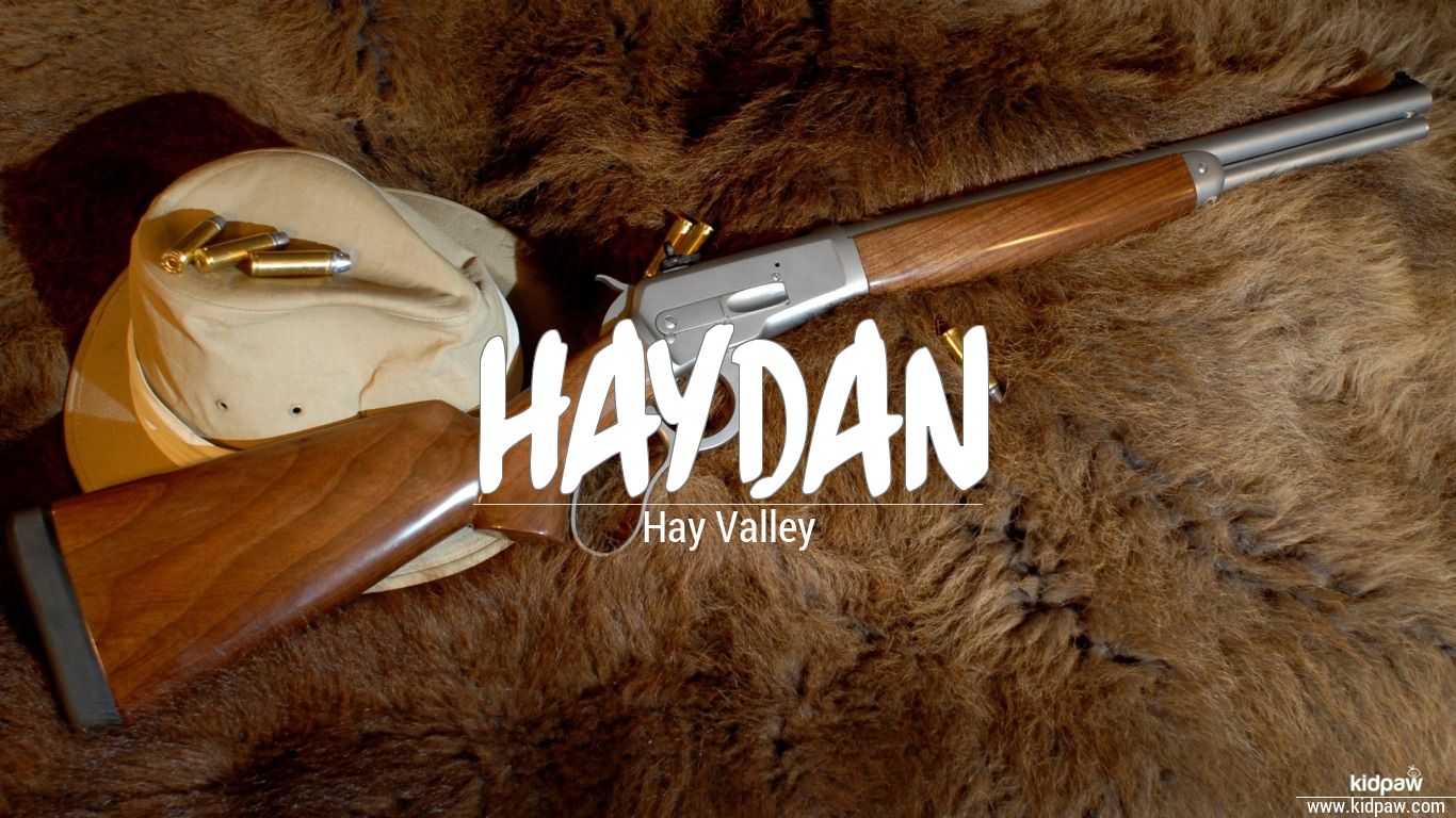 Haydan 3D Name Wallpaper for Mobile, Write Name on Photo Online