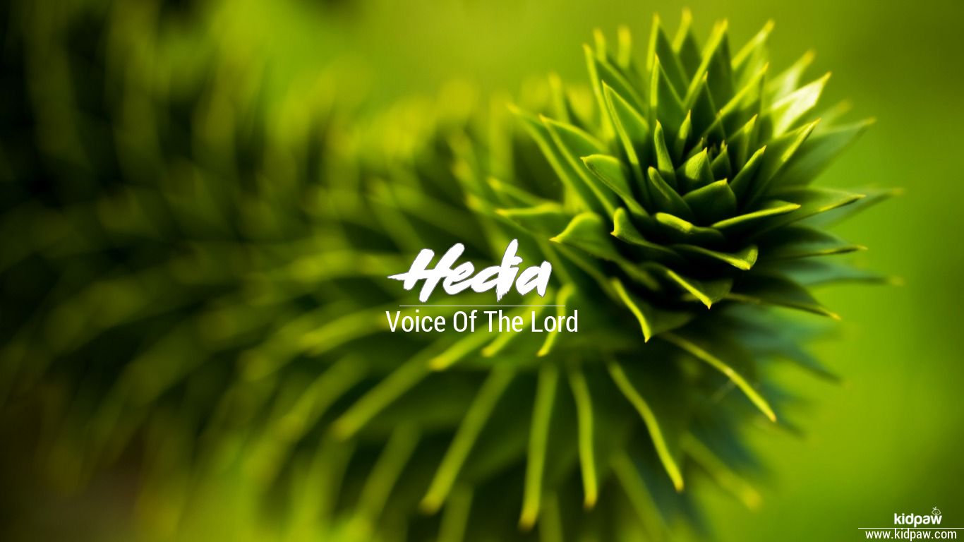 Hedia 3D Name Wallpaper for Mobile, Write Name on Photo Online