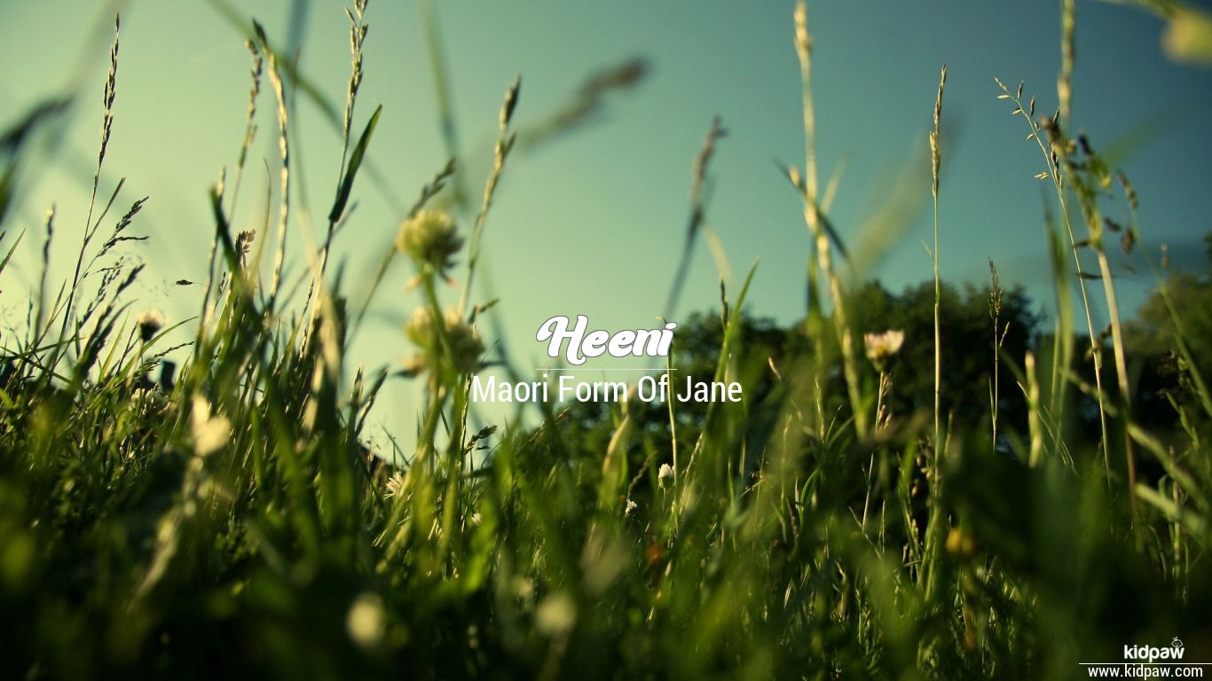 Heeni 3D Name Wallpaper for Mobile, Write Name on Photo Online