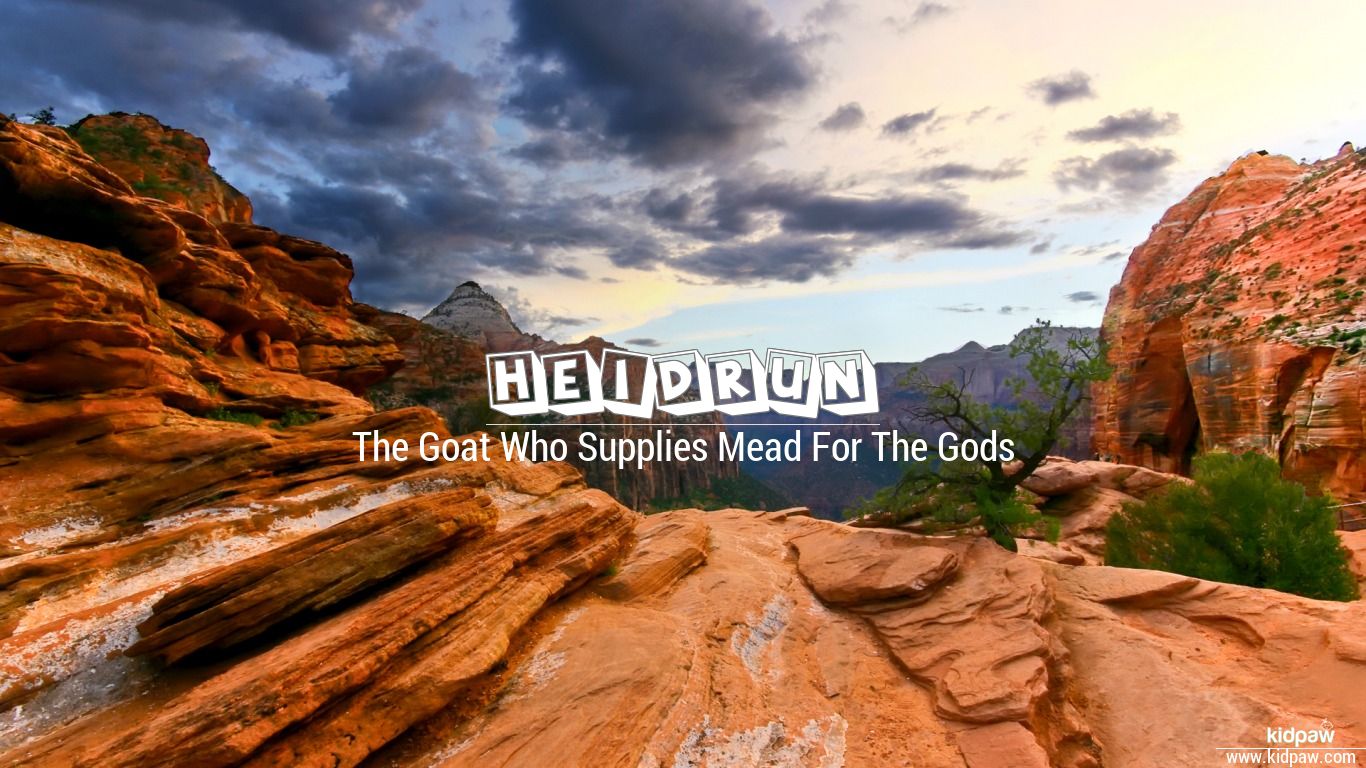 Heidrun 3D Name Wallpaper for Mobile, Write Name on Photo Online