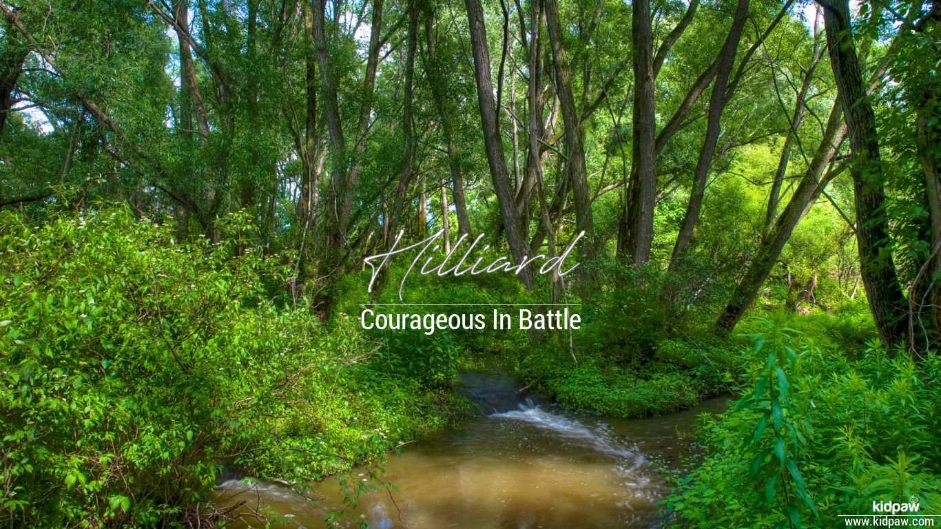 Hilliard 3D Name Wallpaper for Mobile, Write Name on Photo Online