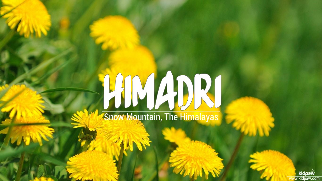 हिमाद्री | Himadri Name Meaning in Hindi & English, Rashi, Nakshatra ...
