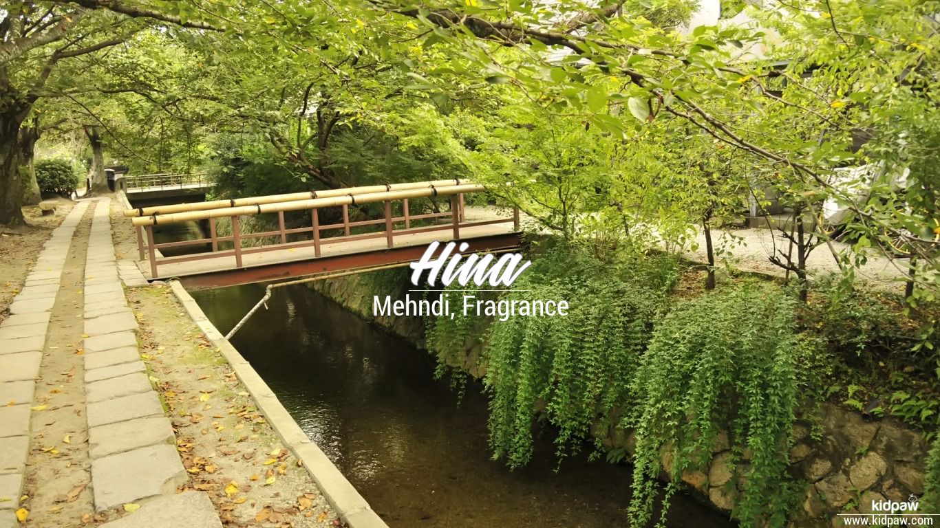 Hina 3D Name Wallpaper for Mobile, Write حنا Name on Photo Online