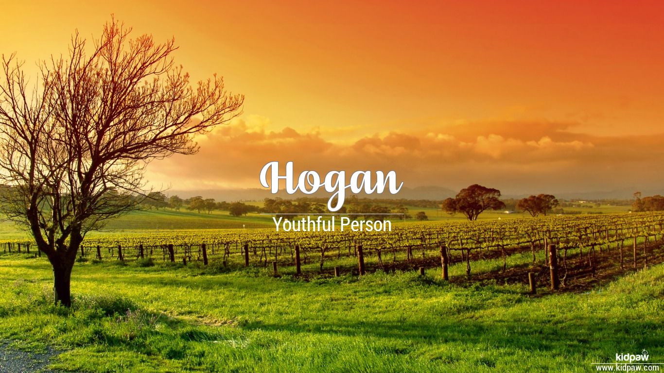 Hogan Meanings in English, Popularity, Origin