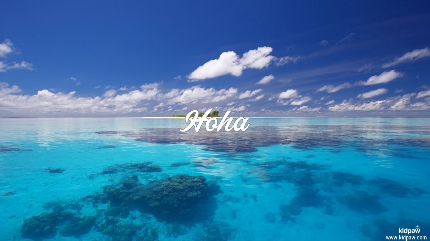 Hoha 3D Name Wallpaper for Mobile, Write होः Name on Photo Online