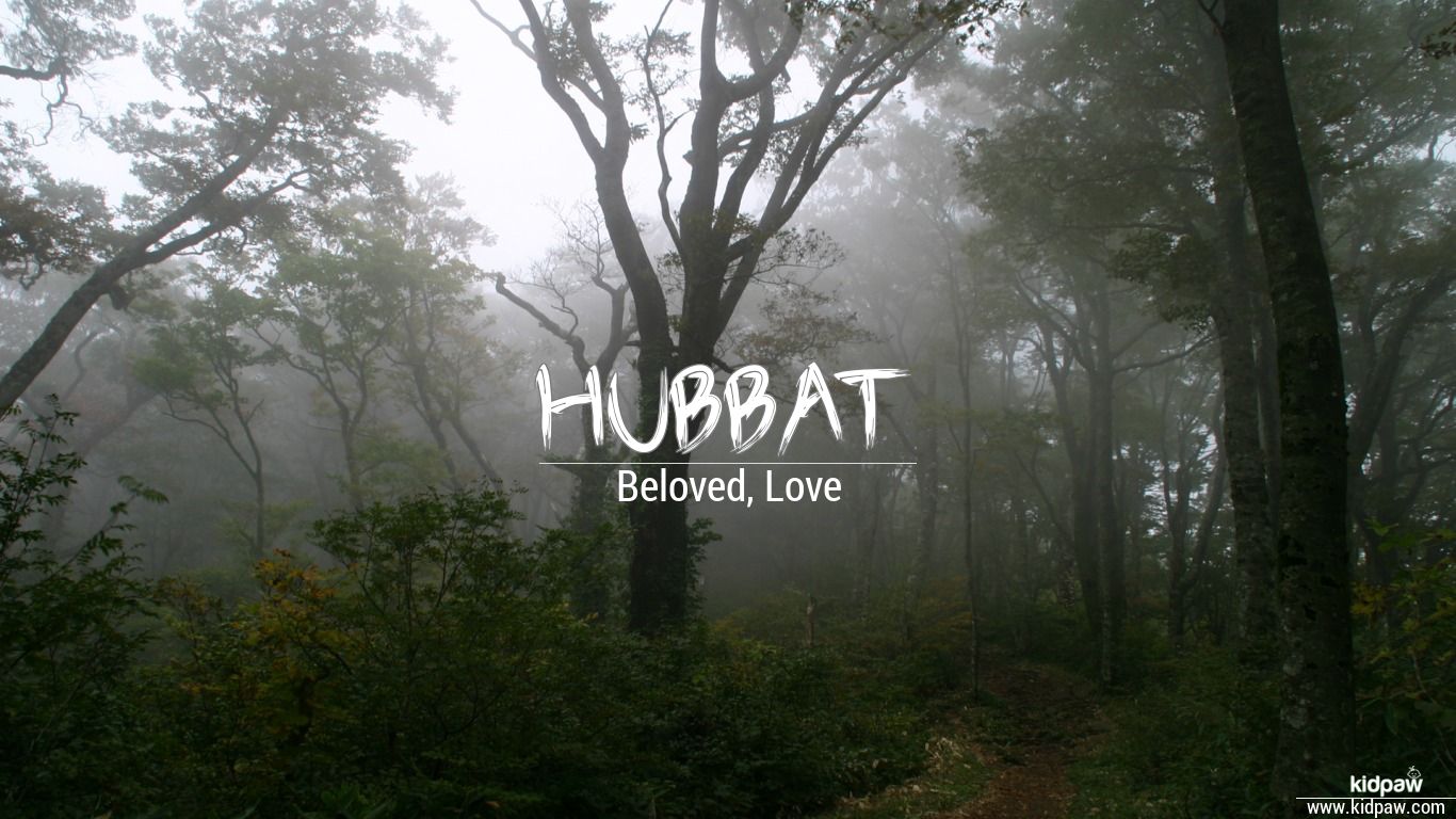 Hubbat Name Meaning in English & Urdu, Origin, Luck Number