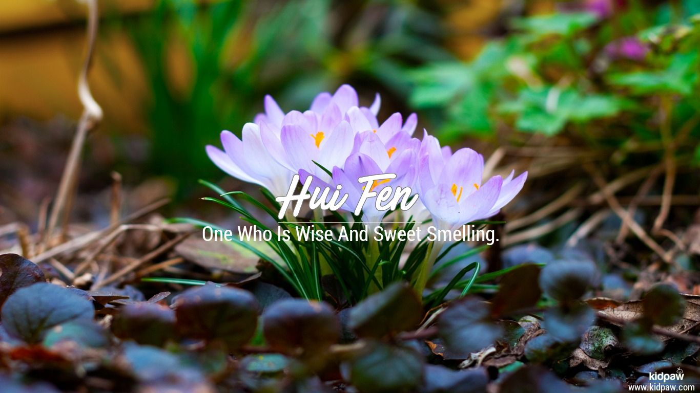 Hui Fen Meanings in English, Popularity, Origin