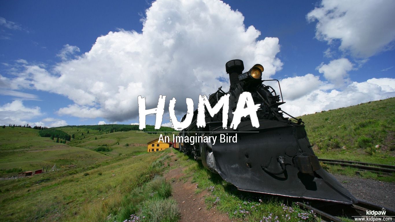 Huma 3D Name Wallpaper for Mobile, Write ہمہ Name on Photo Online