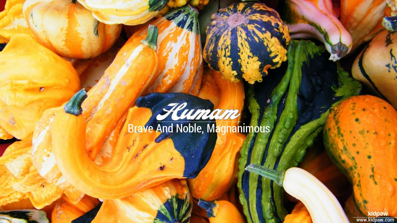 Humam 3D Name Wallpaper for Mobile, Write حمام Name on Photo Online