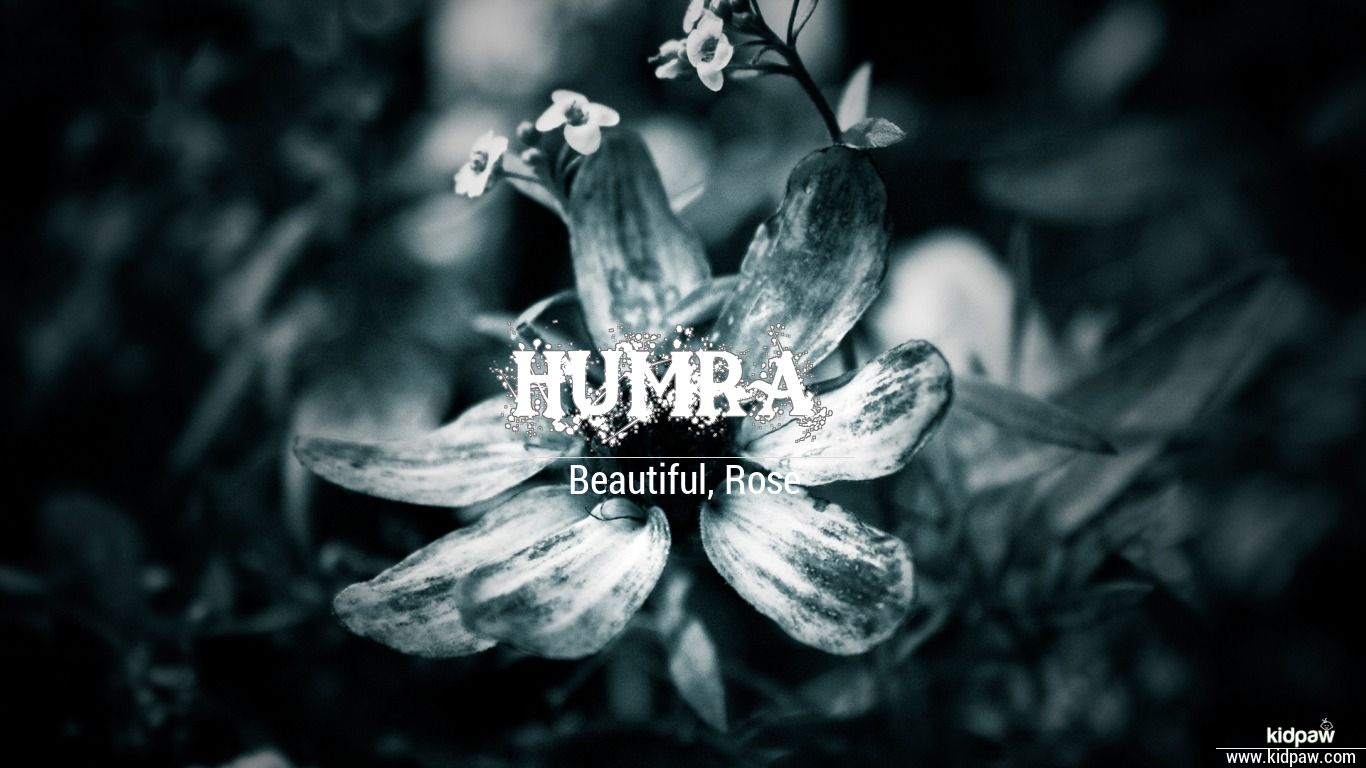 Humra 3D Name Wallpaper for Mobile, Write ہمرا Name on Photo Online