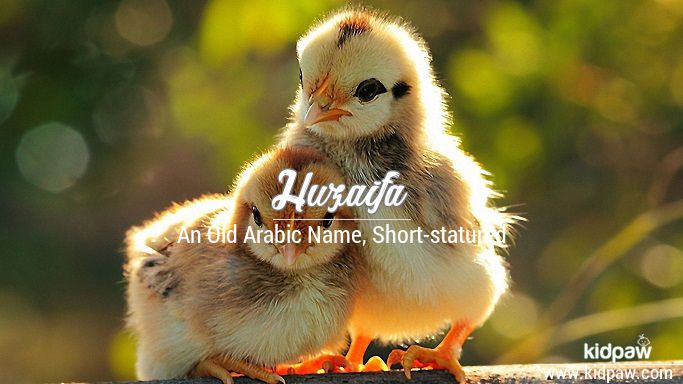 Huzaifa 3D Name Wallpaper for Mobile, Write حذیفہ Name on Photo Online