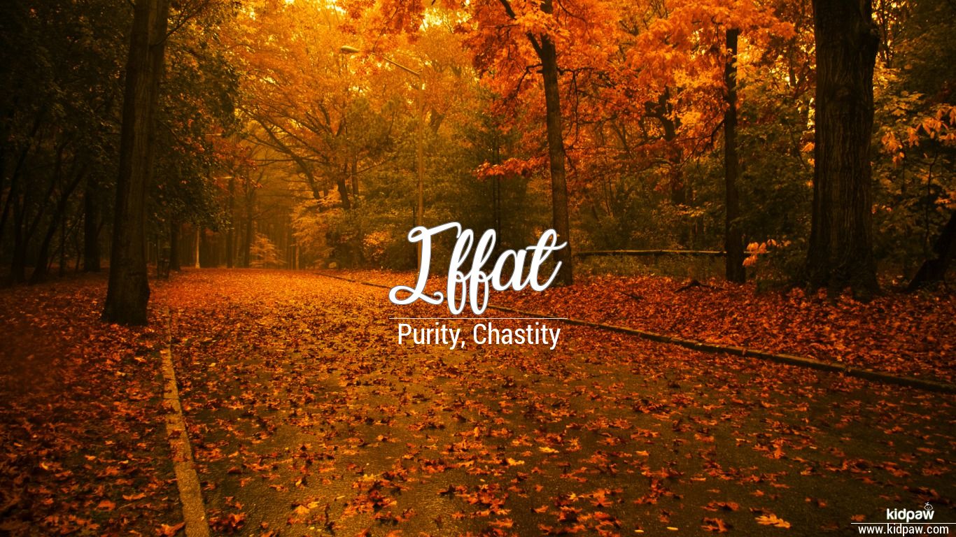 Iffat Name Meaning in English & Urdu, Origin, Luck Number