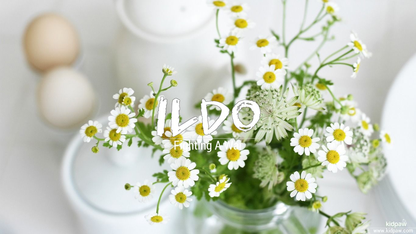 Ildo 3D Name Wallpaper for Mobile, Write Name on Photo Online