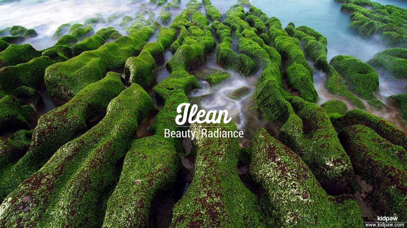 Ilean 3D Name Wallpaper for Mobile, Write Name on Photo Online